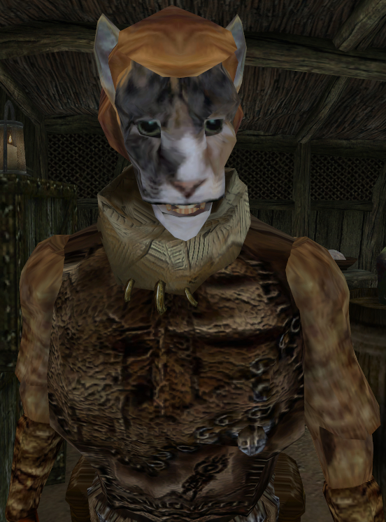 Morrowind:Ra'Zhid