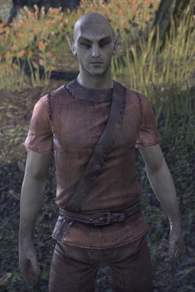 Savur | ElderScrollsPortal.de