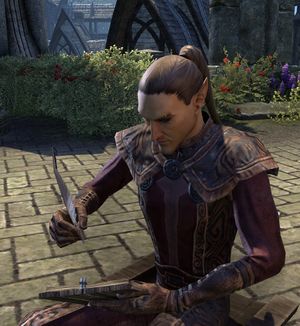 Timion | ElderScrollsPortal.de