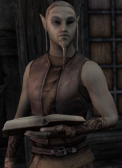 Online:Zanil Theran | ElderScrollsPortal.de