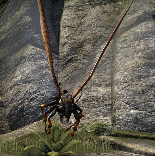 Tazel der Stich | ElderScrollsPortal.de