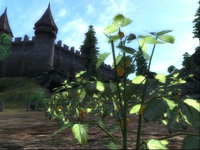 Skingrad