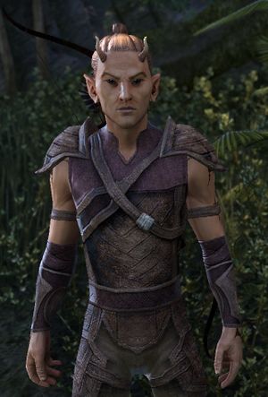 Heluin | ElderScrollsPortal.de