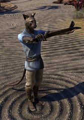 Khajiit – Tamriel-Almanach | ElderScrollsPortal.de