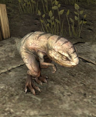 Sithis (Zwergguar) | ElderScrollsPortal.de